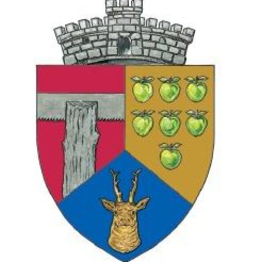 Bugetul pentru Anul 2024 al Comunei Stâlpeni Aprobat cu Succes ...